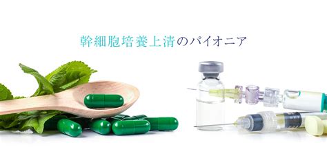 Cysay Co Jp Urlscan Io