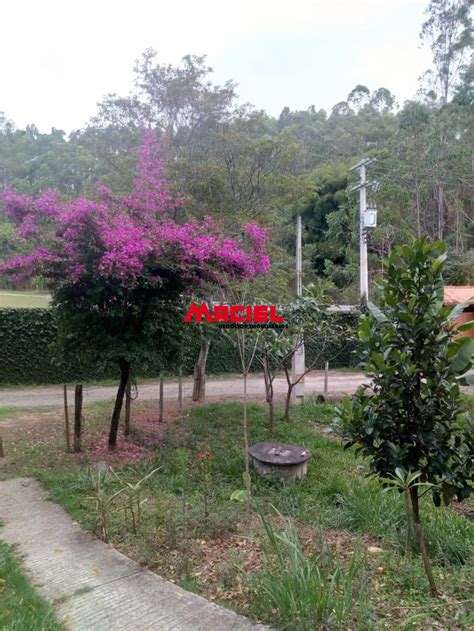 Rural Fazenda Sítio e Chácara Boa Vista Igarata R 320 000 00