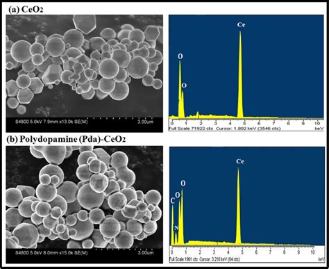 SEM EDX Analysis Of Cerium Oxide CeO2 And Polydopamine Cerium Oxide