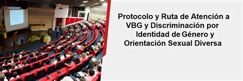 Protocolo De Atenci N A Violencias Basadas En G Nero