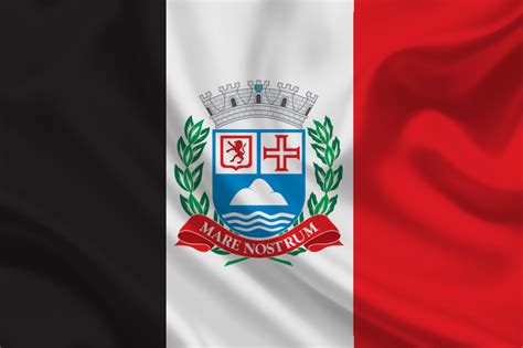 Bandeira Oficial Da Cidade De Praia Grande Ecco Bandeiras