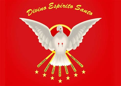 Bandeira Divino Espírito Santo 7 Dons Fundo Vermel 1x1 45m