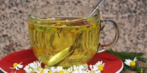 Las 5 Mejores Infusiones Para Dormir Toda La Noche Funcionan
