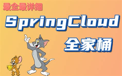 springcloud微服务分布式架构项目开发实战 精细完整版 哔哩哔哩 bilibili