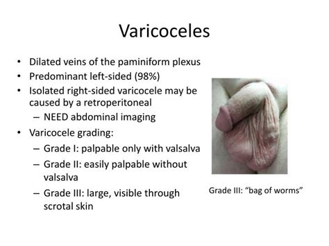 PPT Professional Skills Urology Core Module PowerPoint Presentation