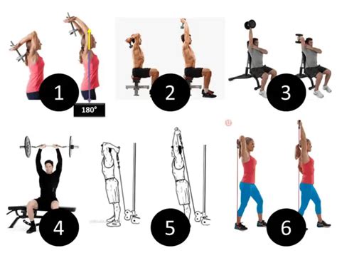 Mejores ejercicios para tríceps estimulando sus 3 cabezas
