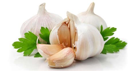 10 Awesome Healing Herbs You Can Use Daily Life Natural Health News