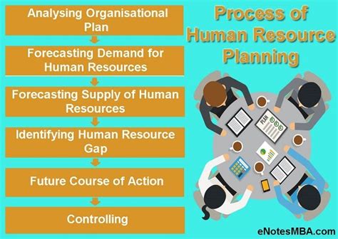 Steps In Process Of Human Resource Planning