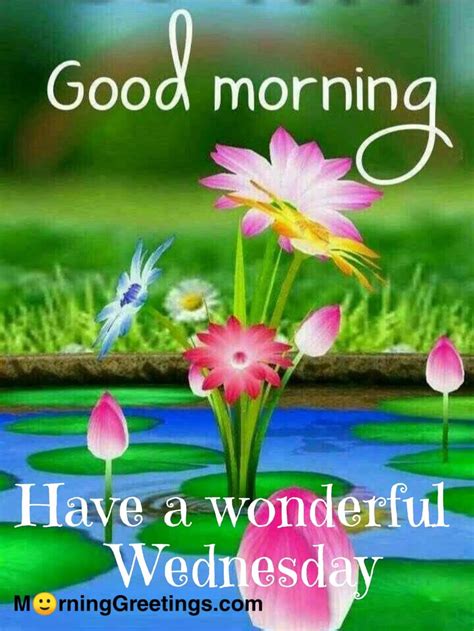 50 Good Morning Happy Wednesday Images Morning Greetings Morning