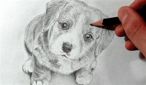 10 técnicas de dibujo artístico a lápiz para principiantes Mott pe
