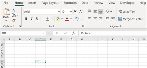how to insert picture in cell documentation