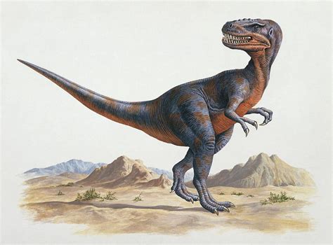 Alectrosaurus Dinosaur Photograph By Deagostini Uig Science Photo