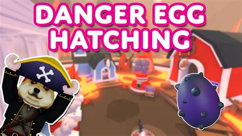 Hatching Danger Eggs Answering Questions About Summerfest Adopt Me