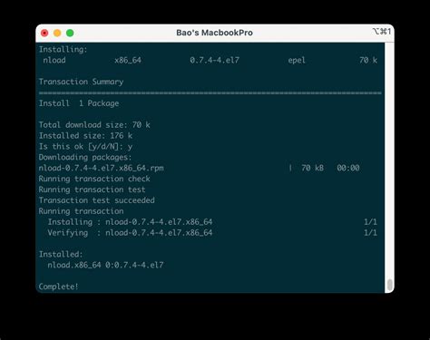 Nload Monitor Network Bandwidth Usage On Linux