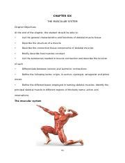 Chapter The Muscular System Docx Chapter Six The Muscular System