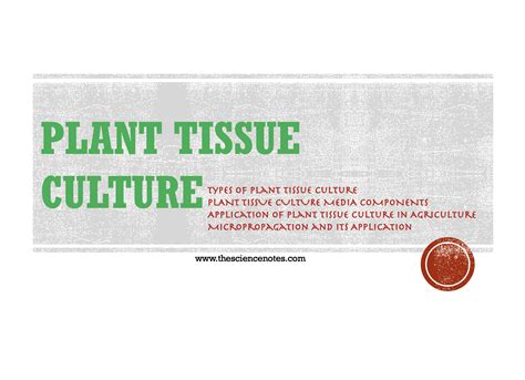 PLANT TISSUE CULTURE The Science Notes