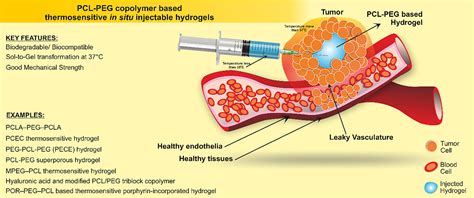 PCL PEG Copolymer Based Injectable Thermosensitive Hydrogels Pharma