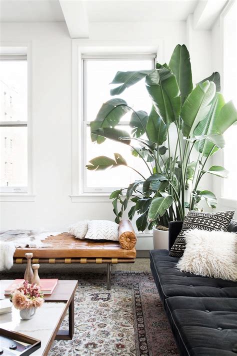 10 Beautiful Ways To Decorate Indoor Plant In Living Room