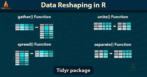 Data Reshaping In R Popular Functions To Organise Data Techvidvan