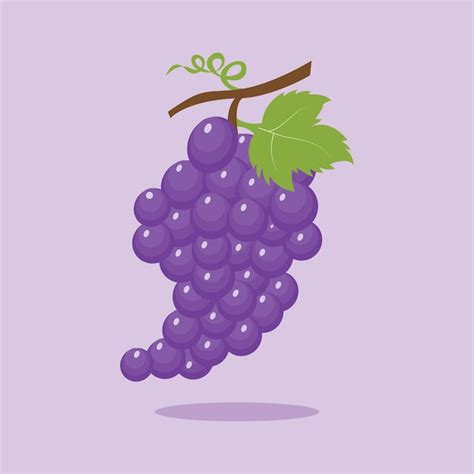 Um Cacho De Uvas Em Um Fundo Roxo Uma Folha Verde Vetor Premium