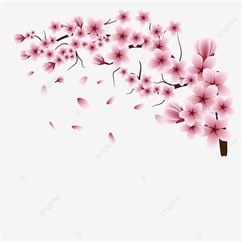 Lindo Ramo De Cerejeira Em Rosa Png P Talas Caindo Flor De Cerejeira