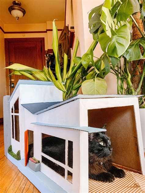 How To Make A Cardboard Cat House The Green Mad House