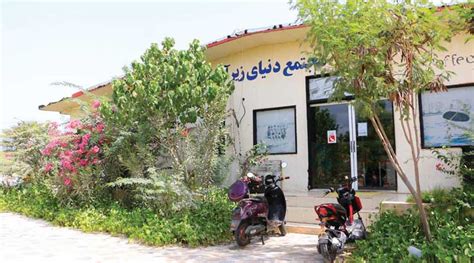 کلوپ های غواصی و دریایی کیش لیست بهترین کلوپ ها و آدرس