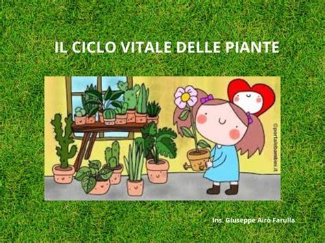 Book Creator Il Ciclo Vitale Delle Piante