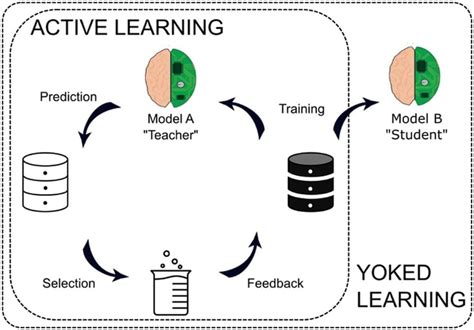 machine learning models teach each other to identify molecular properties