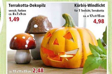 Terrakotta dekopilz Oder Kürbis windlicht Angebot bei Thomas Philipps