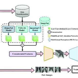 Framework Of The Proposed Deep Learning Model For Covid Prediction