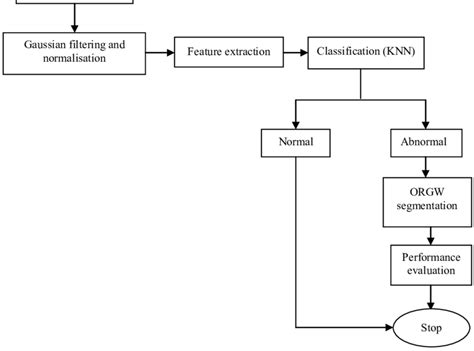 orgw segmentation process mri brain image download scientific diagram