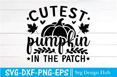 Fall Svg Cutest Pumpkin In The Patch Svg Graphic By Svg Design Hub