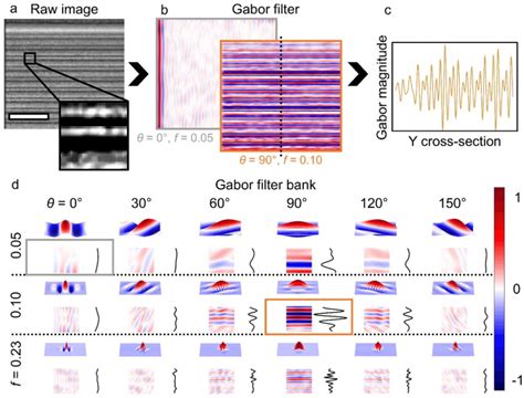 unsupervised segmentation of orthophotos using gabor