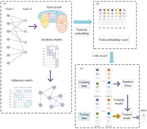 applied sciences free full text link prediction with hypergraphs via network embedding