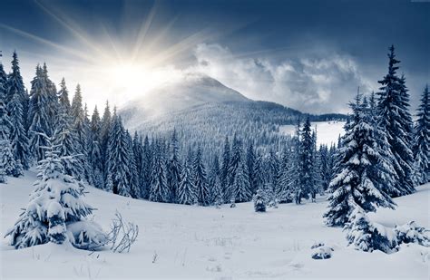 Snow Forest Winter Wallpapers Bigbeamng