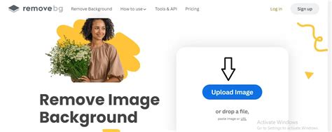 How To Remove Background In Canva