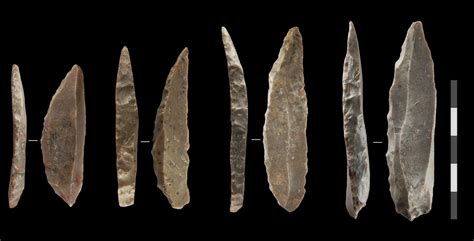 Neandertales Y Sapiens Coexistieron En Espa A M S De A Os