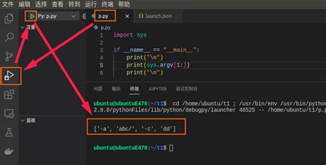 vscode设置python代码debug 调试 与带参数调试 悟透 博客园
