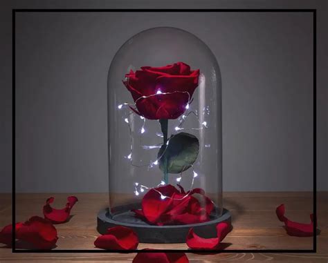 Comment faire une rose éternelle sous cloche MamanSanta
