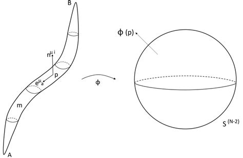 the gauss map Φ m → s n −2 maps points p defined on the download scientific diagram