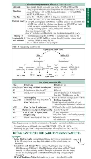 rối loạn nhịp tim pdf