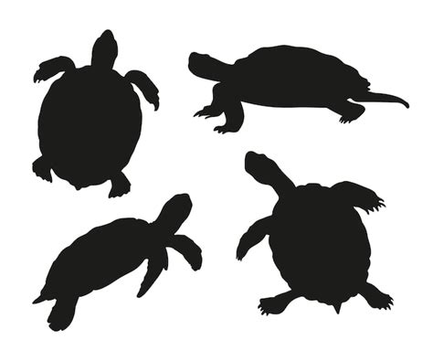 Turtle Vector Silhouette