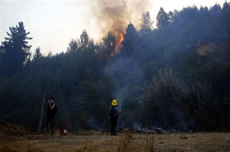 Incendios forestales en Chile han afectado más de 9 000 hectáreas