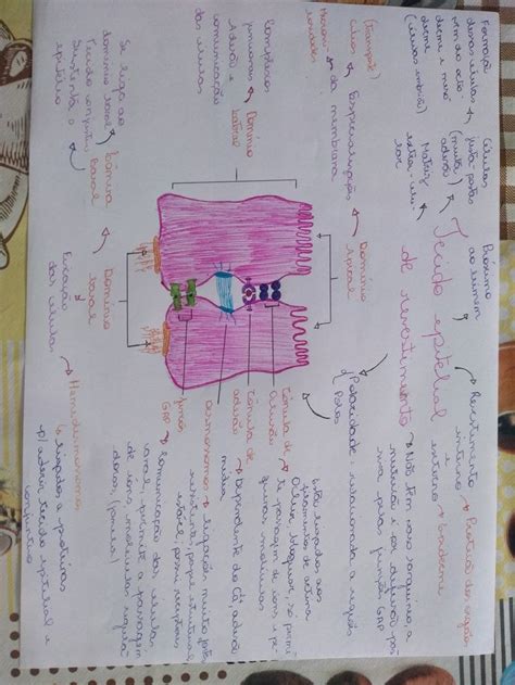 Pin On MAPAS MENTAIS