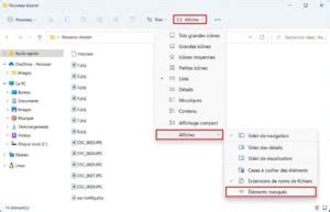 Comment afficher les fichiers cachés sur Windows 11
