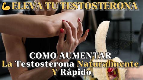ELEVA TU TESTOSTERONA NATURALMENTE 10 Mejores Alimentos Para Aumentar