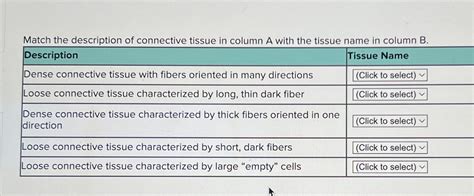 Solved Match The Description Of Connective Tissue In Column Chegg