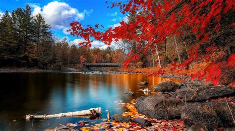 Fonds D Cran Automne Full Hd