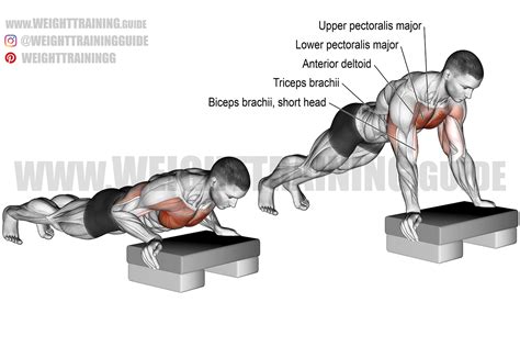 Incline Push Up Exercise Instructions And Video Weight Training Guide